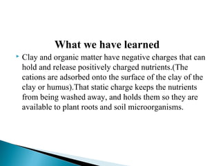 Cation exchange capicity and base saturation | PPT