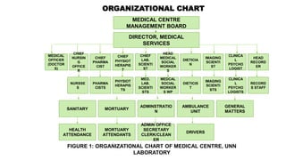 Medical IT Report PPTX.pptx