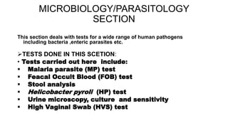 Medical IT Report PPTX.pptx