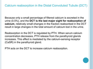 Cations and anions | PPT