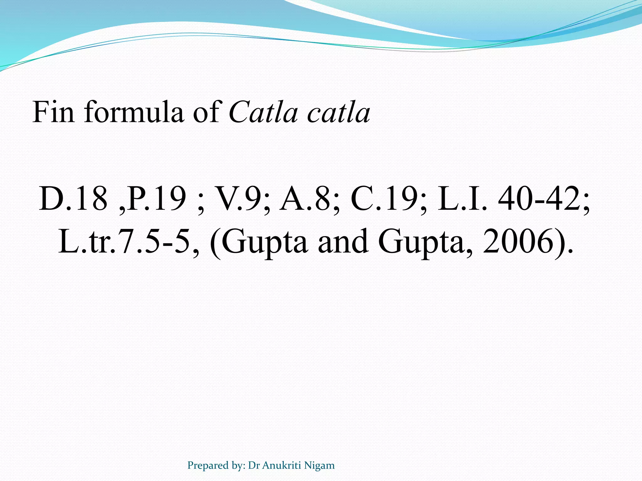 Introduction to Catla catla | PPTX
