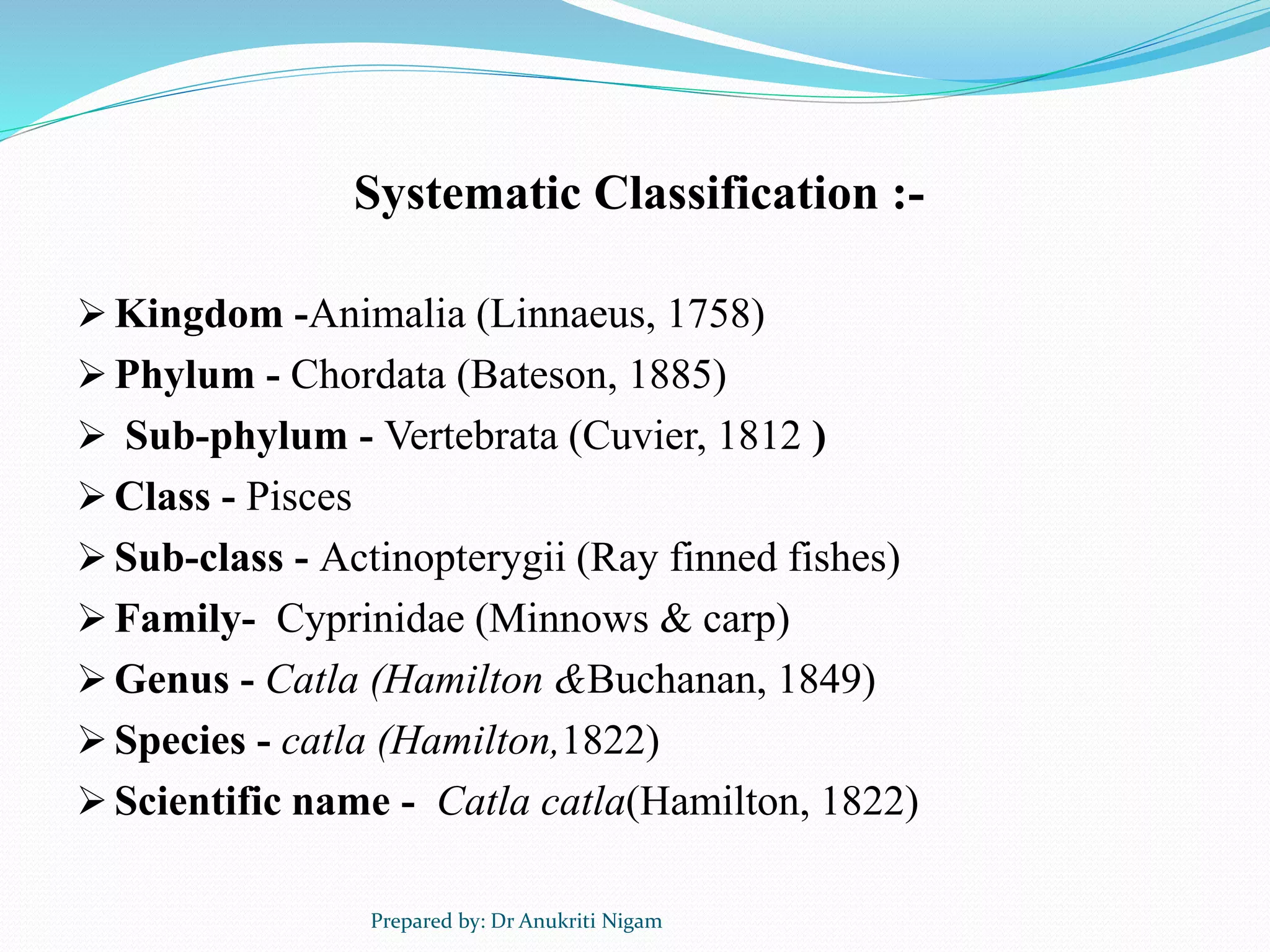 Introduction to Catla catla | PPTX | Fish and Aquariums | Pets