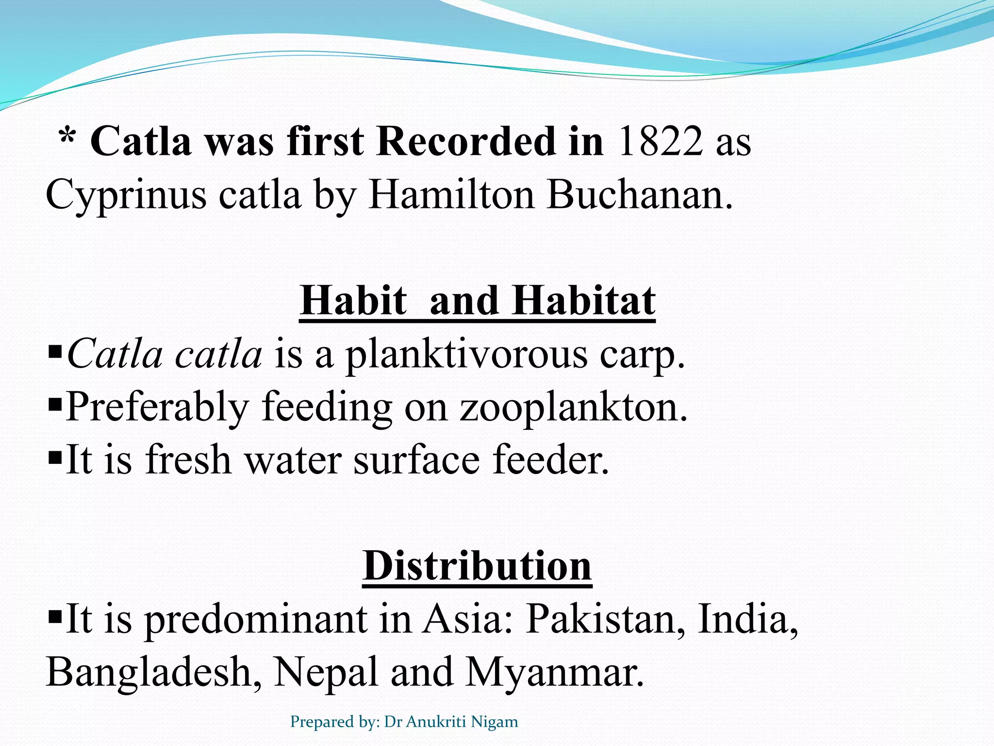 Introduction to Catla catla | PPTX