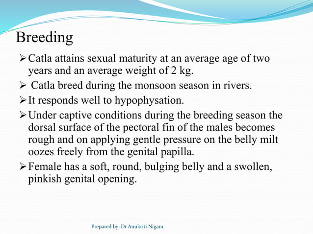 Introduction to Catla catla | PPTX | Fish and Aquariums | Pets
