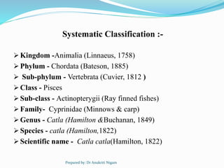 Introduction to Catla catla | PPTX