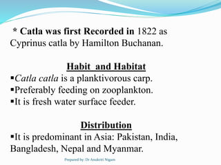 Introduction to Catla catla | PPTX