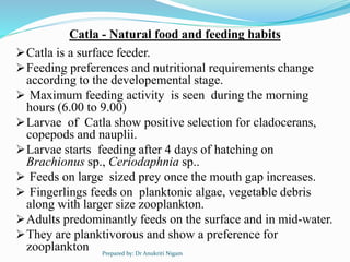 Introduction to Catla catla | PPTX