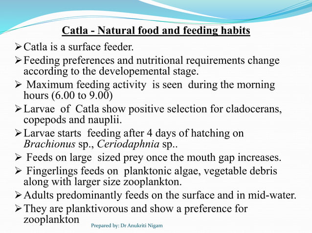 Introduction to Catla catla | PPTX | Fish and Aquariums | Pets
