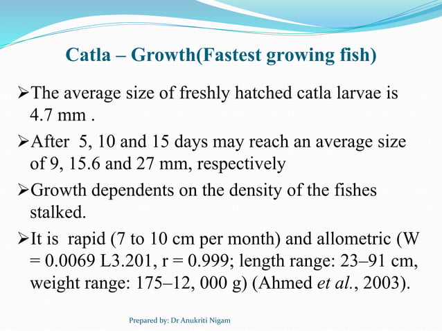 Introduction to Catla catla | PPTX | Fish and Aquariums | Pets