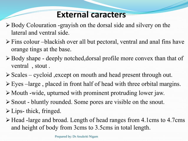 Introduction to Catla catla | PPTX | Fish and Aquariums | Pets