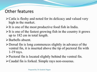 Introduction to Catla catla | PPTX
