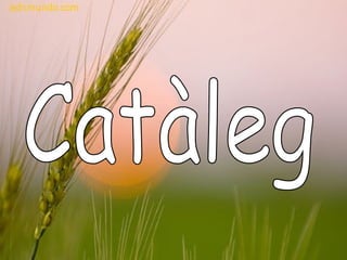 CatàLeg Marta Poca | PPT