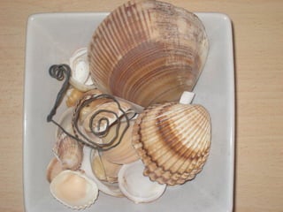 CatàLeg Marta Poca | PPT