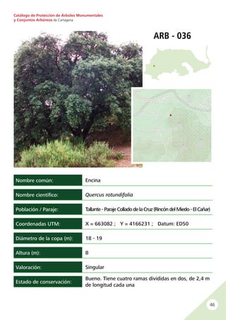 CATÁLOGO DE PROTECCIÓN DE ÁRBOLES MONUMENTALES Y CONJUNTOS ARBÓREOS DE ...