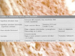 Catm | PPT