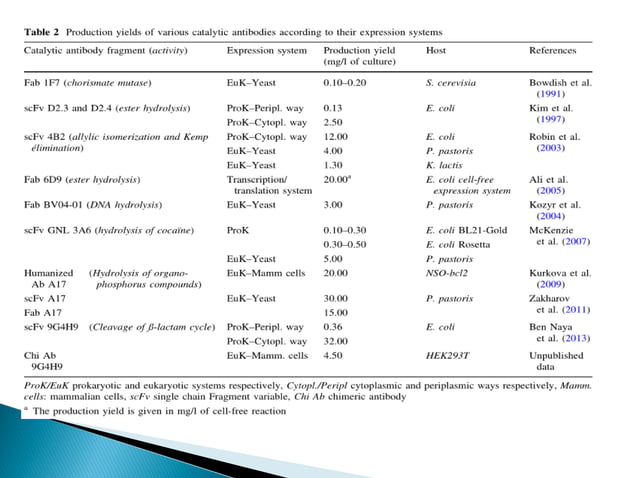 Catmab(abzyme) | PDF | Genetics | Science
