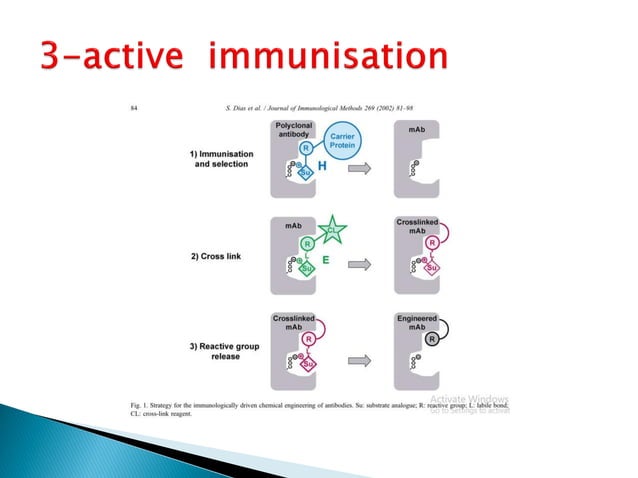 Catmab(abzyme) | PDF | Genetics | Science