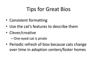 Cat marketing | PPTX