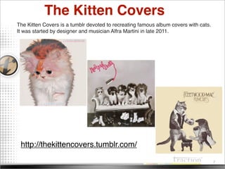 Cat Memes 2011-2012 | KEY