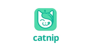 Catnip Pitch Deck | PPT
