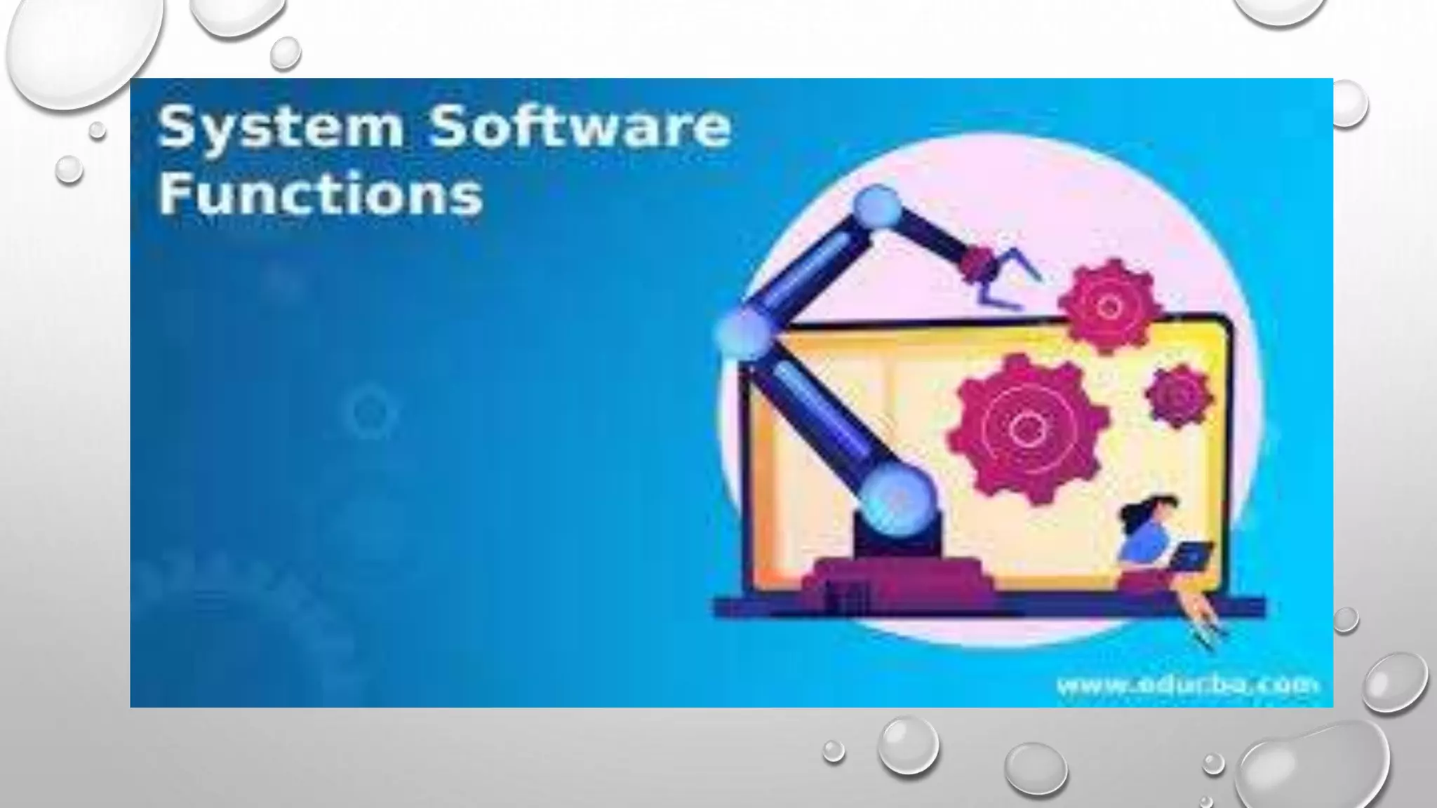 Hardware & Software.pptx