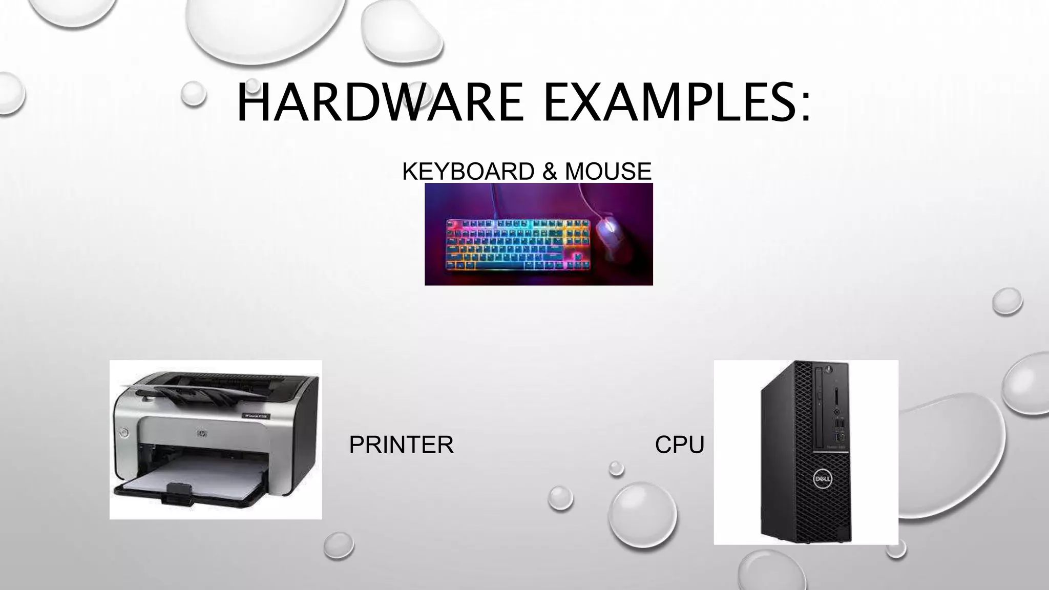 Hardware & Software.pptx