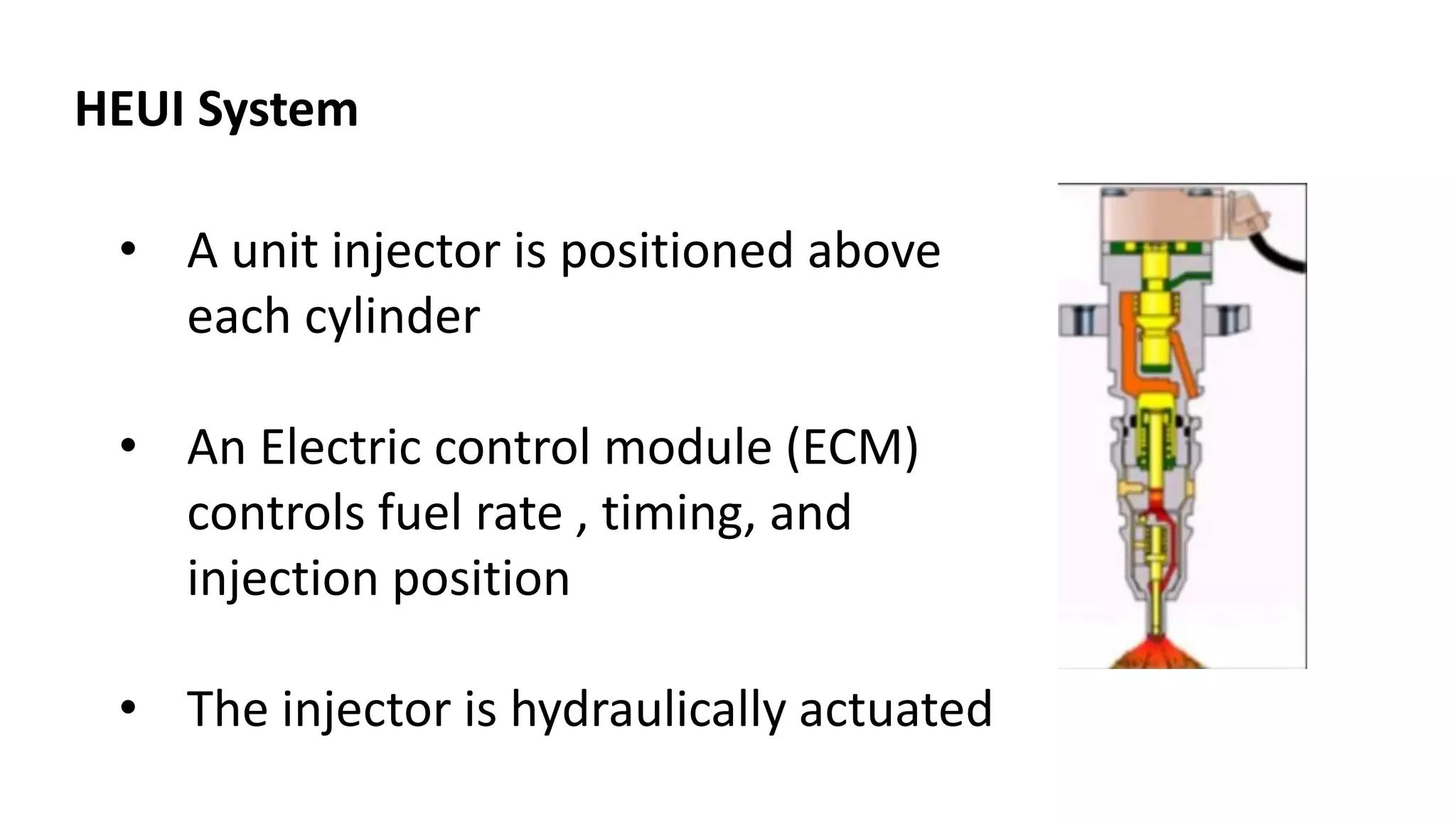 cat presentation final.pptx