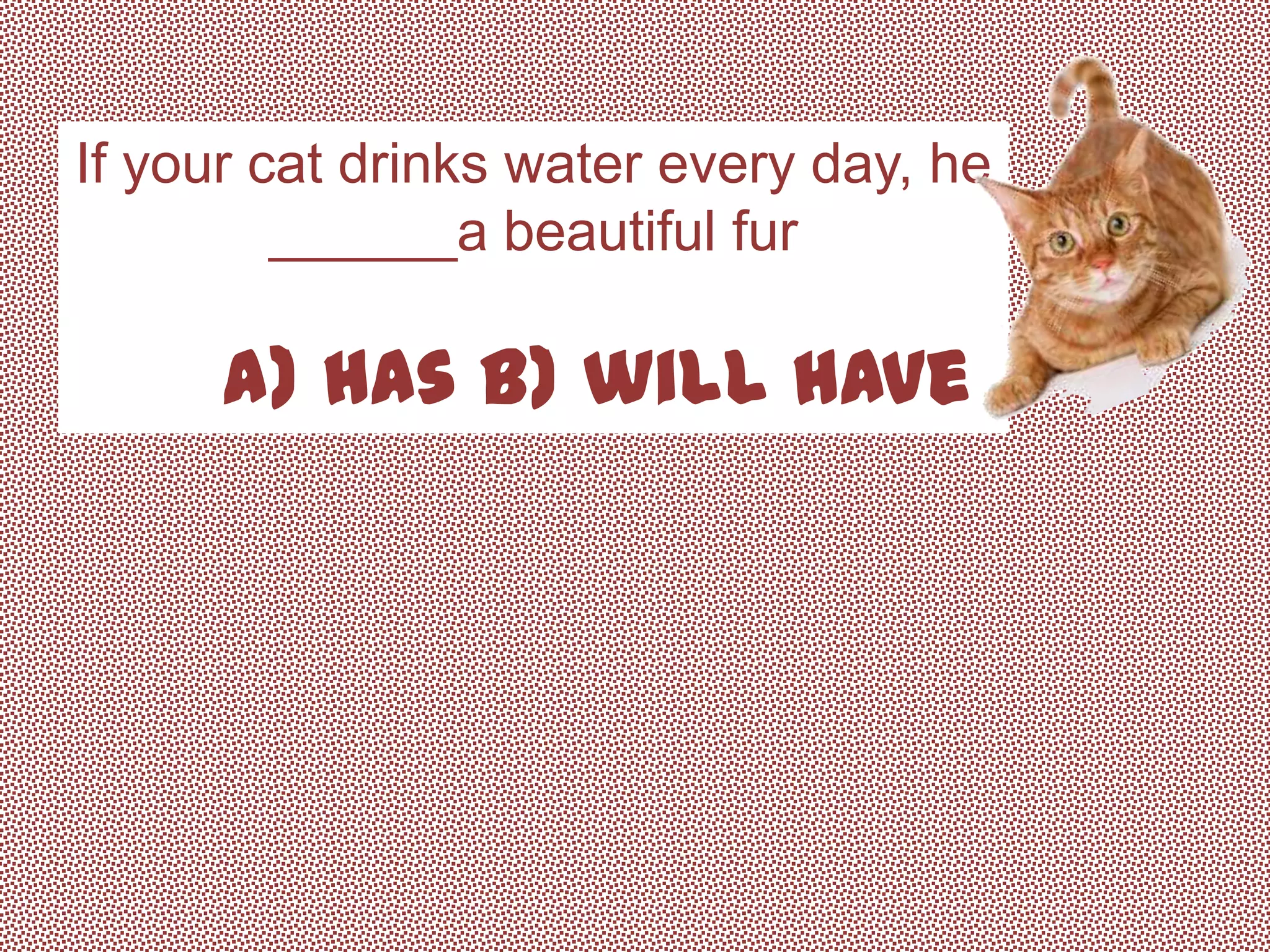 Cat quiz first conditional | PPT