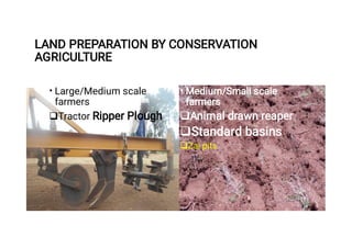 Training manual for maize production under conservation agriculture | PPT