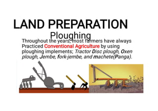 Training manual for maize production under conservation agriculture | PPT