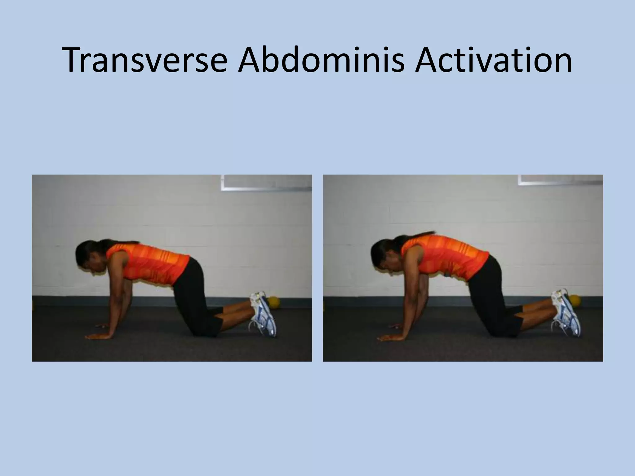 Cats 09...Core...The Lower Abdomen, Pelvis And Hip | PPT