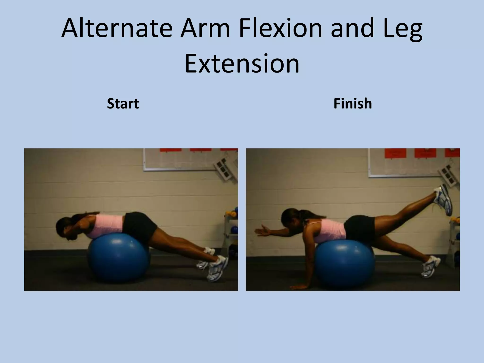 Cats 09...Core...The Lower Abdomen, Pelvis And Hip | PPT