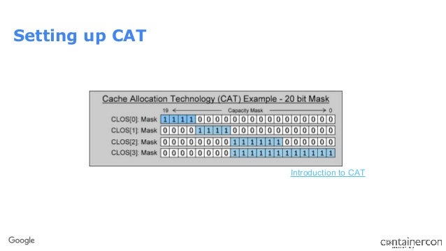 Cat @ scale