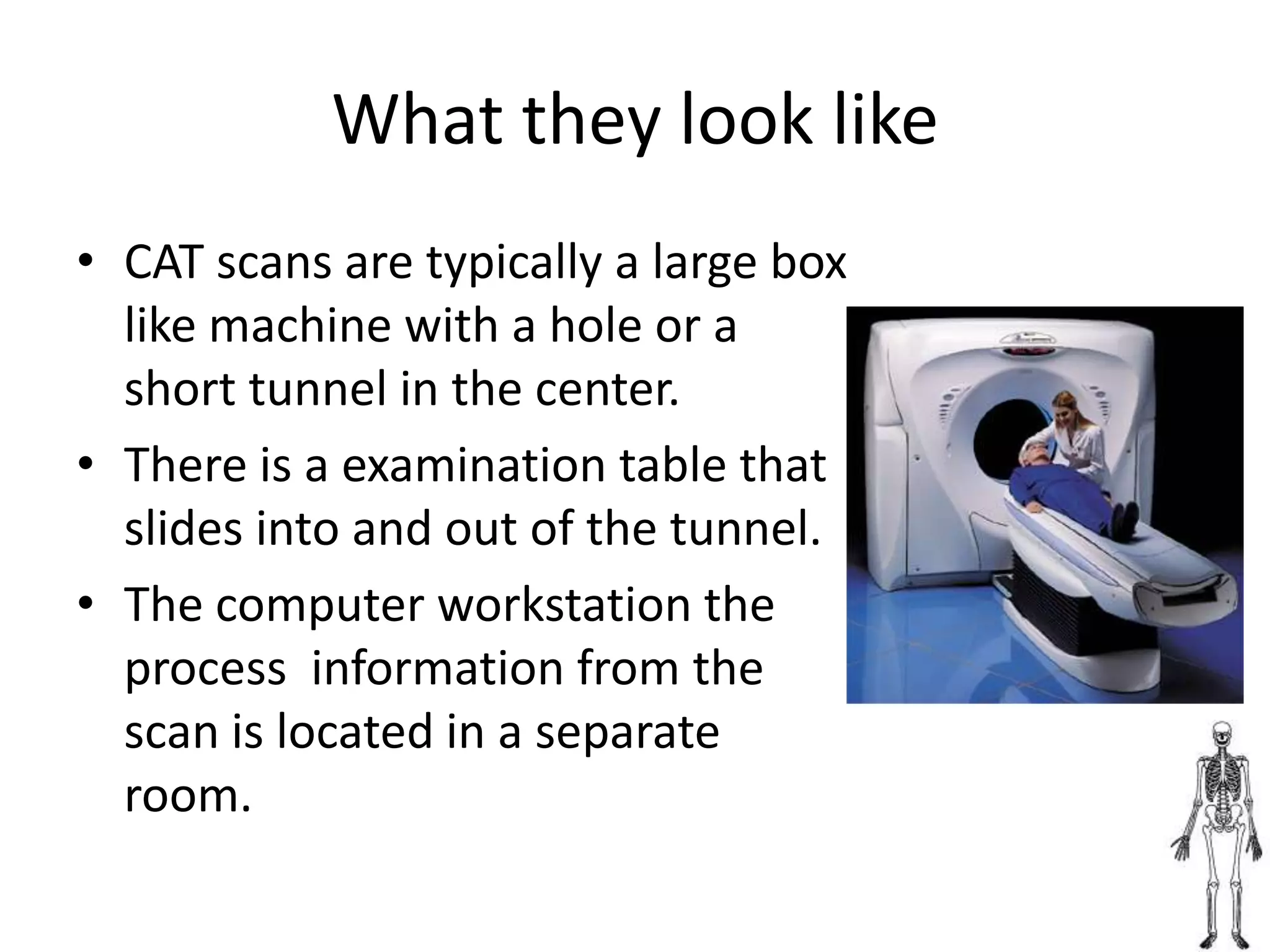 Cat scans wiki project | PPT