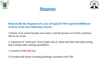 cat scratch disease..pptx