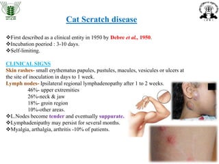 cat scratch disease..pptx