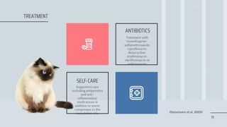 Cat Scratch Disease | PPTX