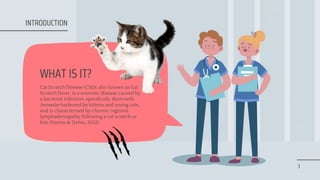 Cat Scratch Disease | PPTX