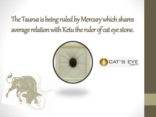 Taurus Animal Eye