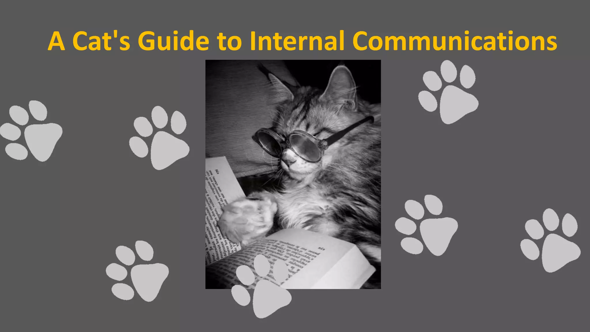 A Cat's Guide to Internal Comms | PPTX