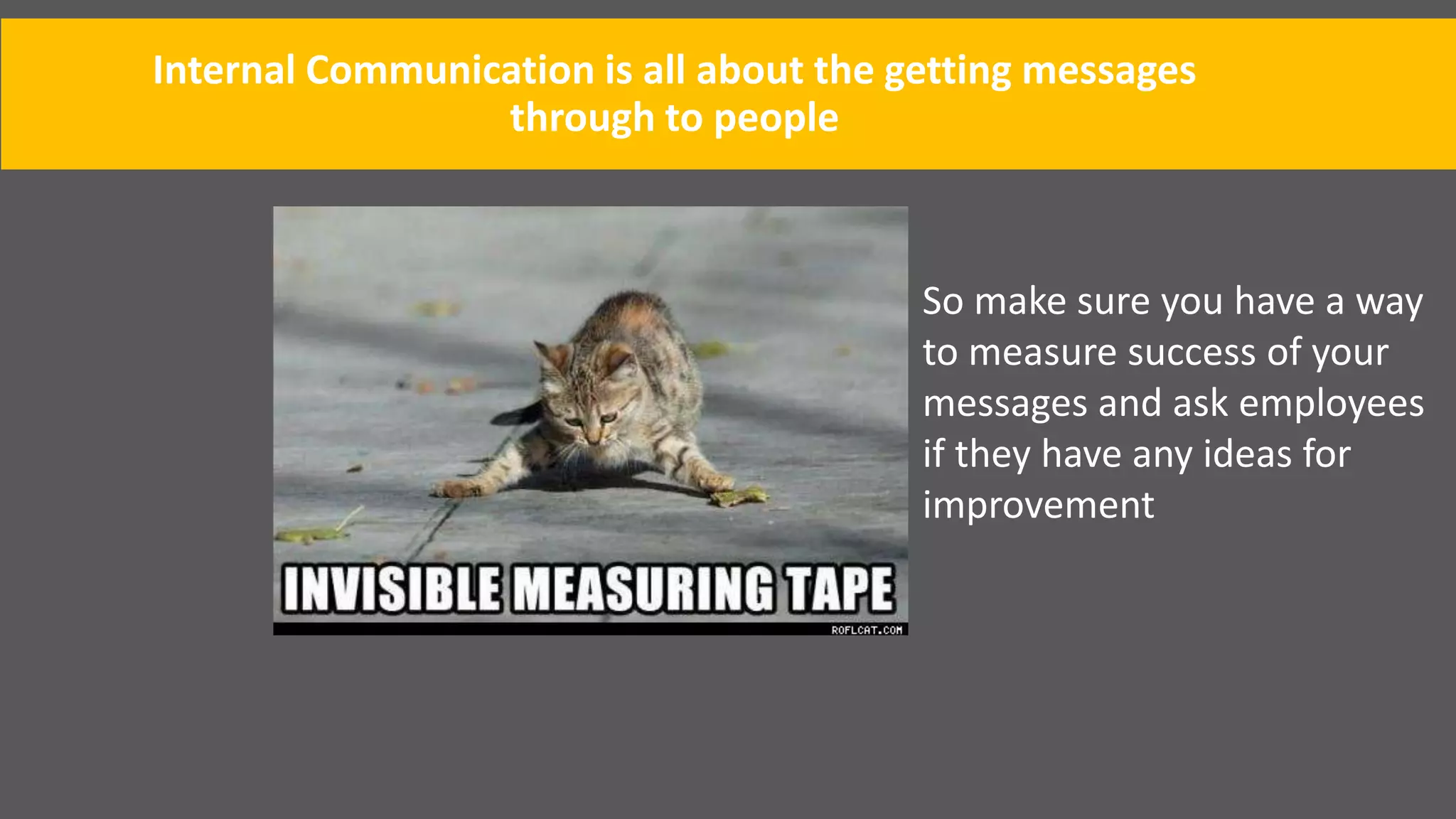 A Cat's Guide to Internal Comms | PPTX