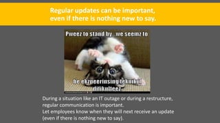 A Cat's Guide to Internal Comms | PPTX