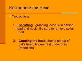 Cats I Behavior And Restraint Of Cats | PPT
