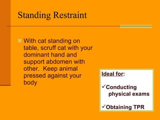 Cats I Behavior And Restraint Of Cats | PPT
