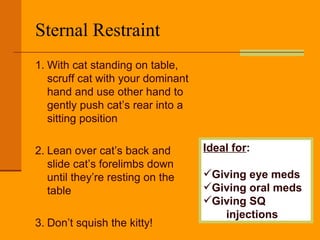 Cats I Behavior And Restraint Of Cats | PPT