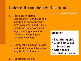Cats I Behavior And Restraint Of Cats | PPT