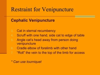 Cats I Behavior And Restraint Of Cats | PPT