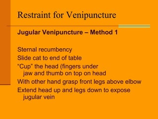 Cats I Behavior And Restraint Of Cats | PPT