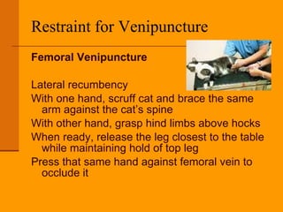 Cats I Behavior And Restraint Of Cats | PPT