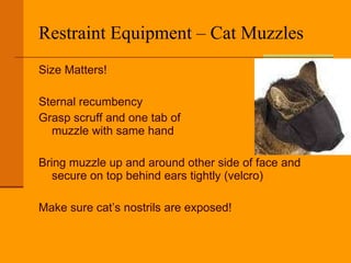 Cats I Behavior And Restraint Of Cats | PPT